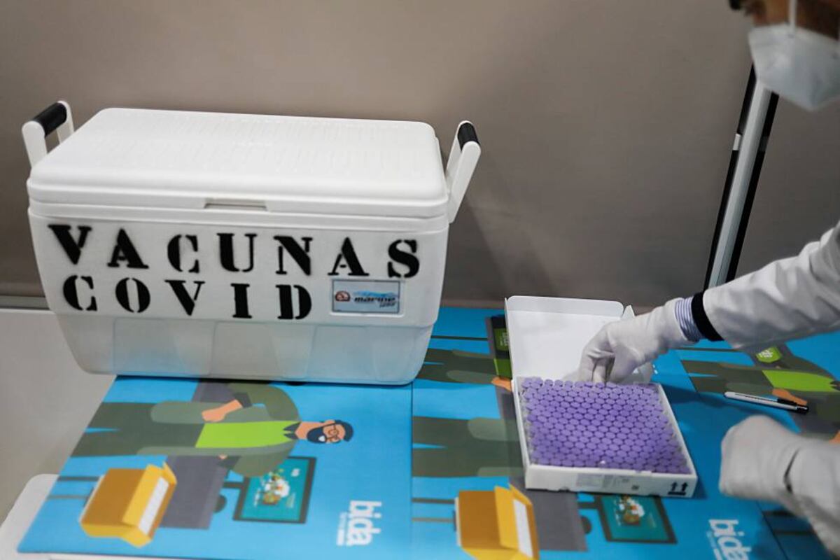 Pfizer prevé ingresar 12.500 millones por la vacuna del Covid-19 en ...