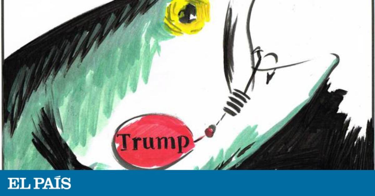 Spanish cartoonist El Roto: El Roto | Spain | EL PAÍS English