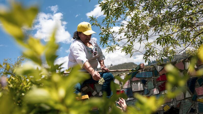 Huertomanías: Sol, plantas y mermelada: cuando los estigmas de salud mental se desarman en un ...