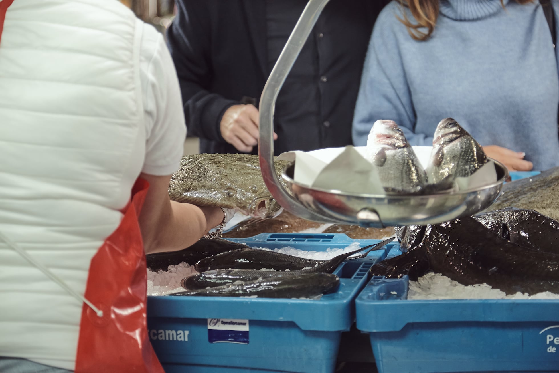 ¿De dónde procede el pescado que comemos? La importancia de la ...