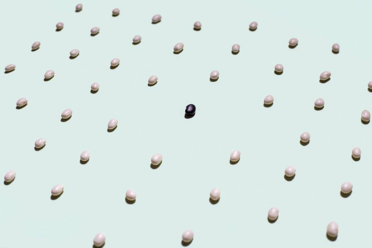 ‘Data Driven Creatives’, una oportunidad para volver a emocionar al ...