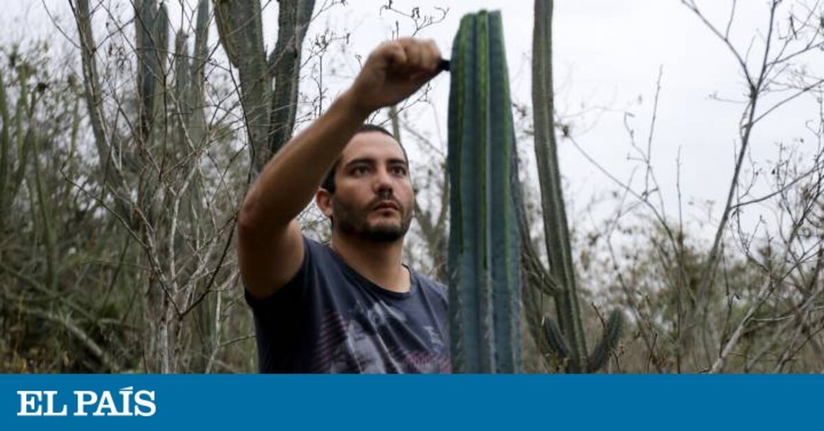 Rodrigo Pacheco, el chef obsesionado con la sostenibilidad | Estilo ...