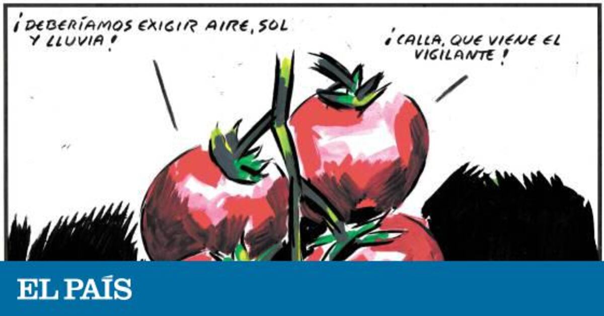 Spanish cartoonist El Roto: El Roto | Spain | EL PAÍS English