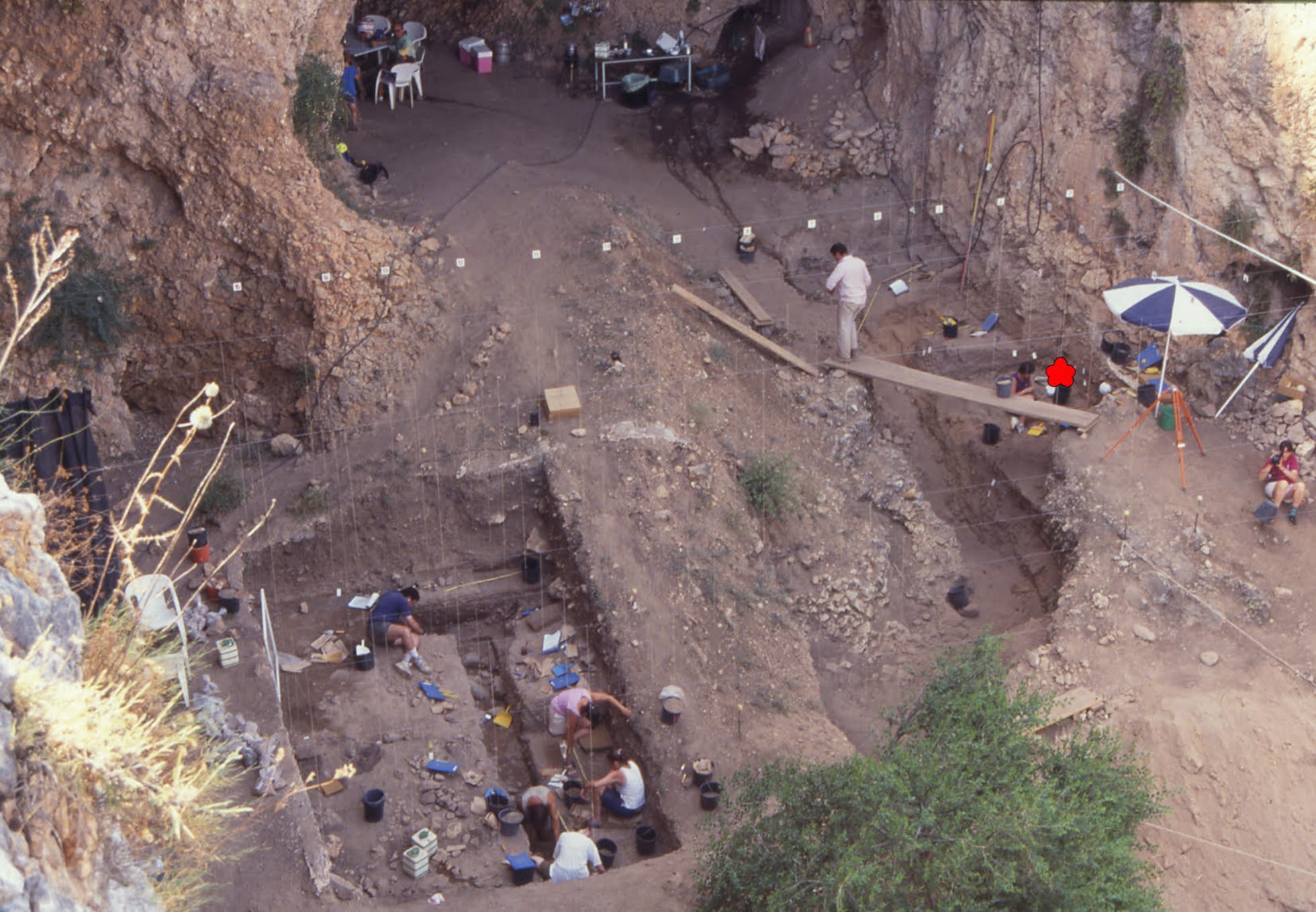 Amud 7, the Neanderthal baby who shows they developed faster than ...