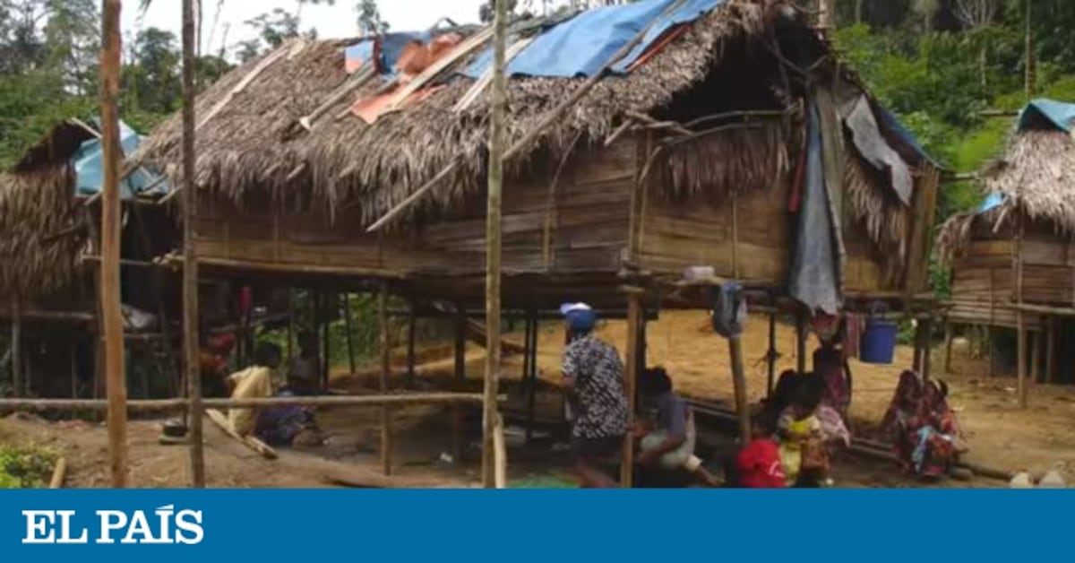 El Jedek, la lengua “desconocida” que solo hablan 280 personas | Mundo ...