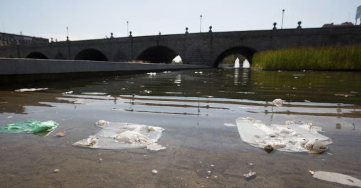 Madrid's dirty streets: “The filth is awful” – Complaints grow over ...