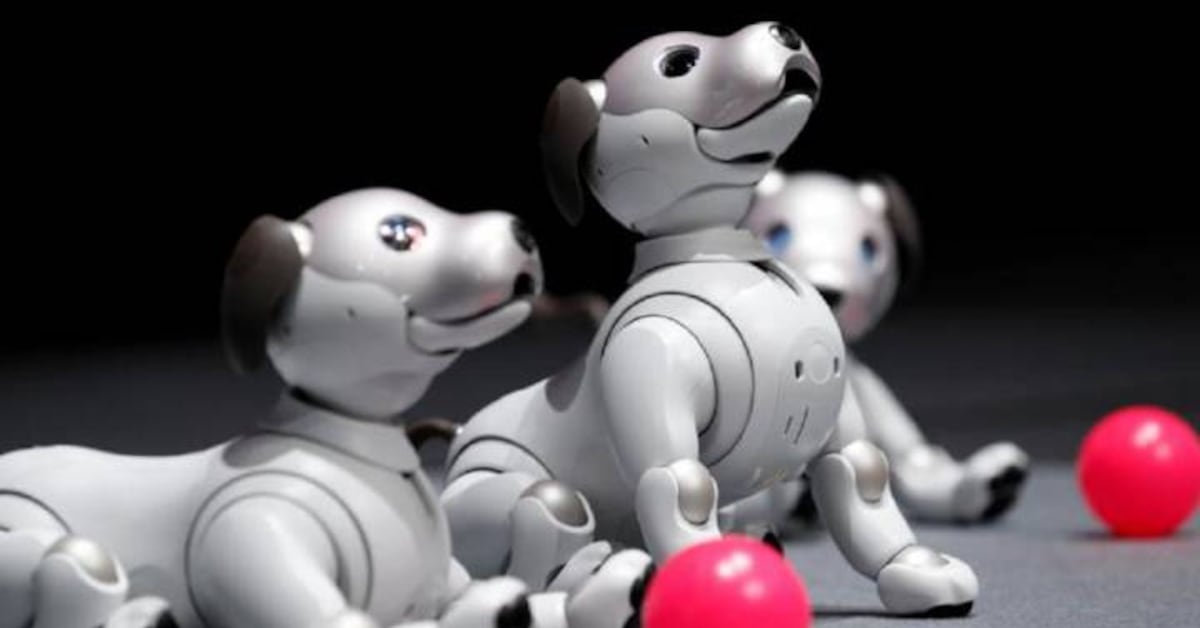 Vuelve Aibo, el perro robótico de Sony, que ahora comparte emociones con sus dueños | Tecnología ...