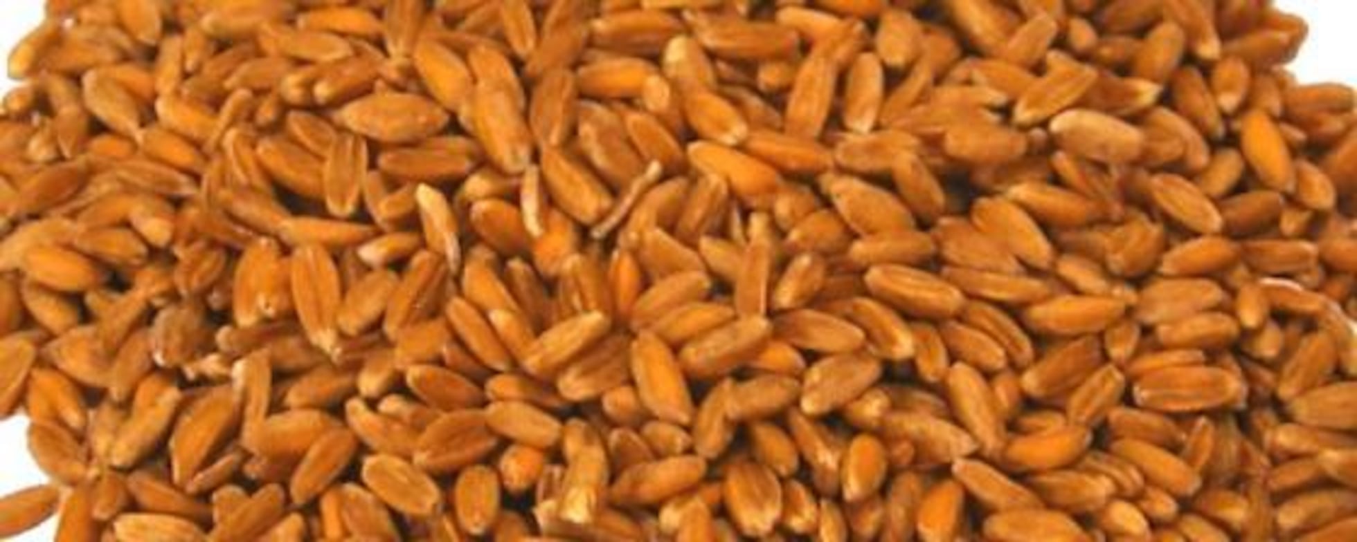 Alternativas al arroz | El Comidista | Gastronomía | EL PAÍS
