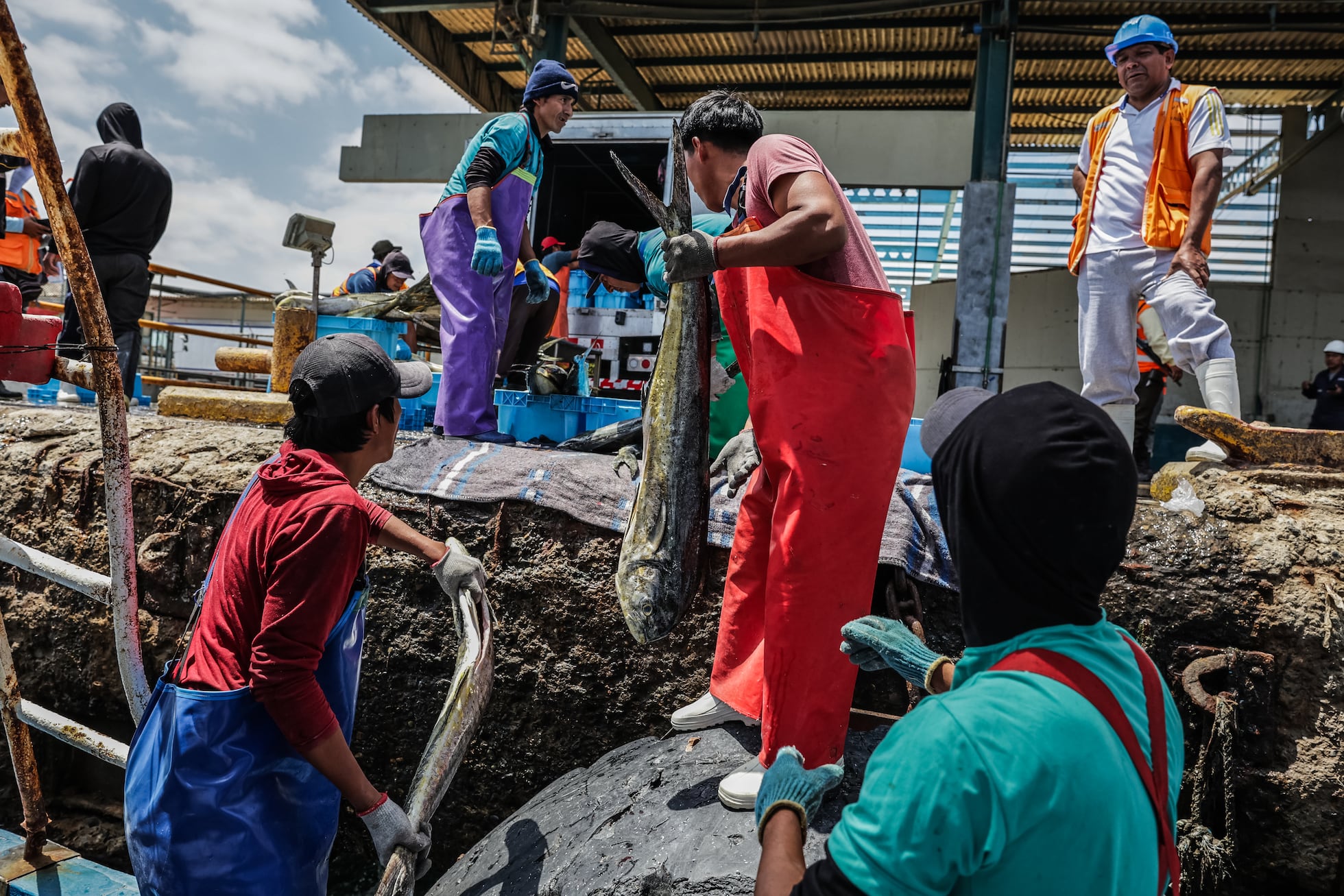Illegal shipyards threaten fishing in Peru | International | EL PAÍS ...