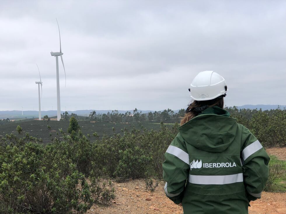 Formación para acceder con garantías al empleo verde | Sociedad | EL PAÍS