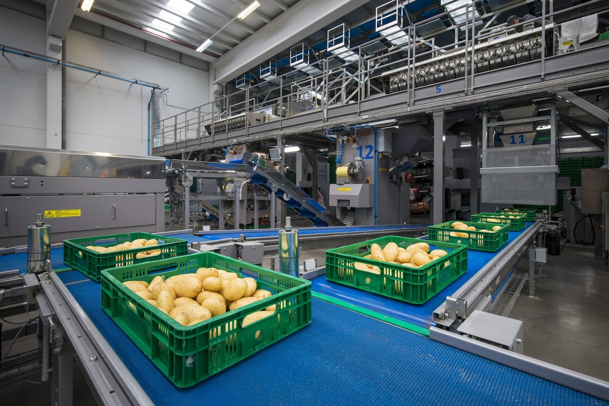 Hijolusa absorbe Agrícola Villena y crea un grupo de 200 millones de ...