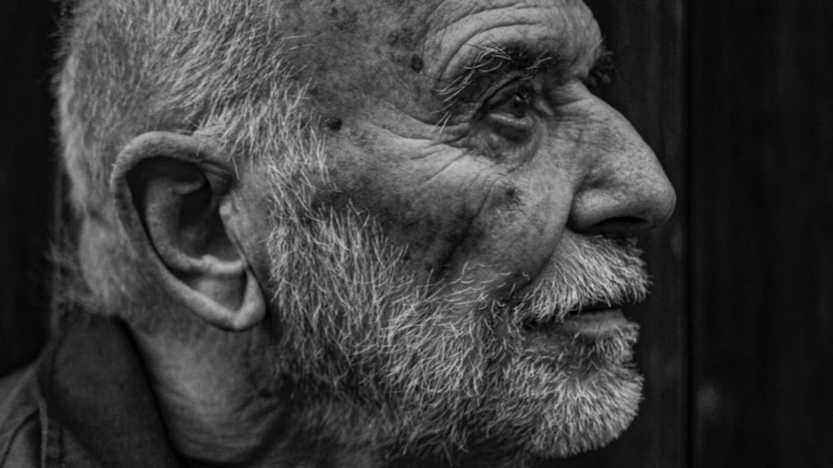 Peter Knapp, el artista que trasladó a las modelos del set al campo y ...