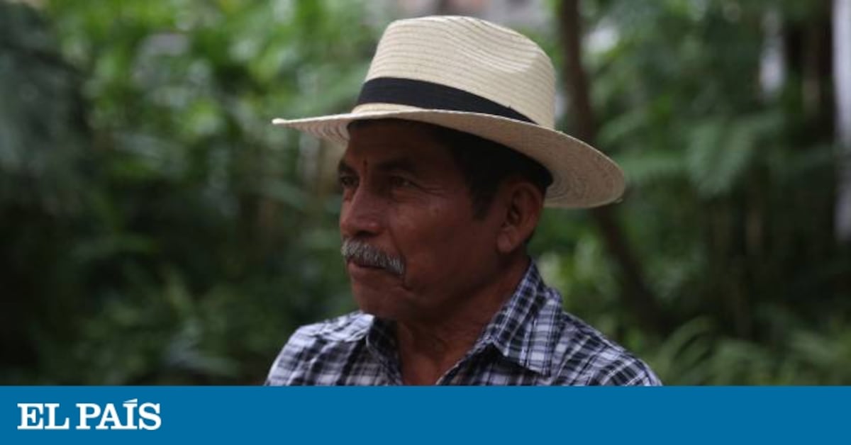 El maya Rodrigo Tot y su pequeña victoria contra el níquel y los malos ...