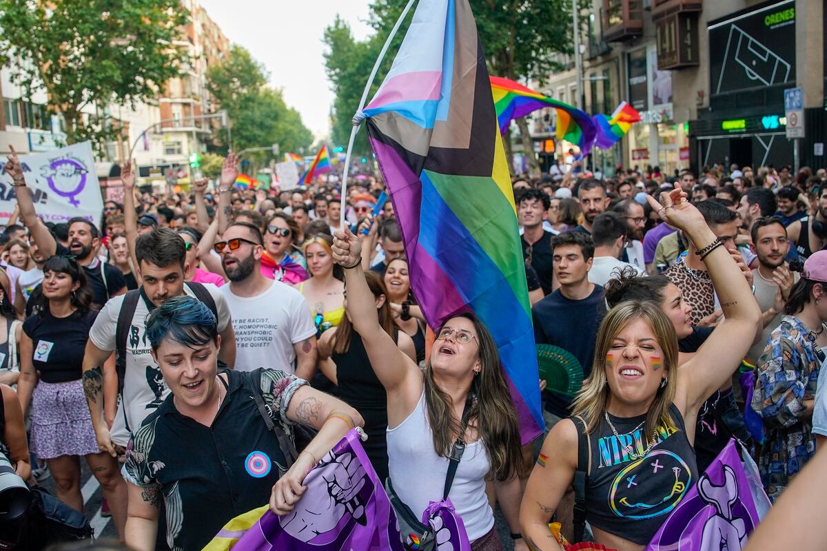 El colectivo LGTBI sale a la calle en el Orgullo a defender sus ...