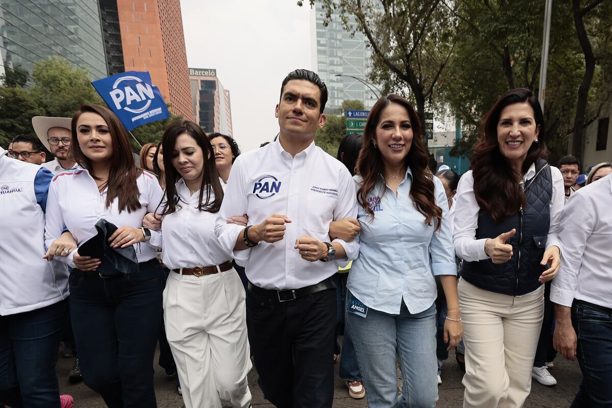 El diablo en la apertura ciudadana del PAN | Opinión | EL PAÍS México