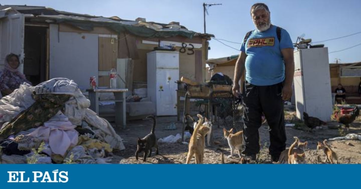 Poverty in Spain: As Madrid shanty town demolished, man must pick one ...