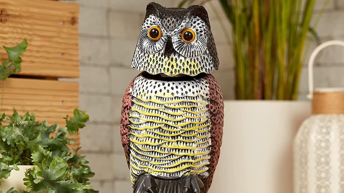 Este espantapájaros con forma de búho ahuyenta a las aves de forma ...