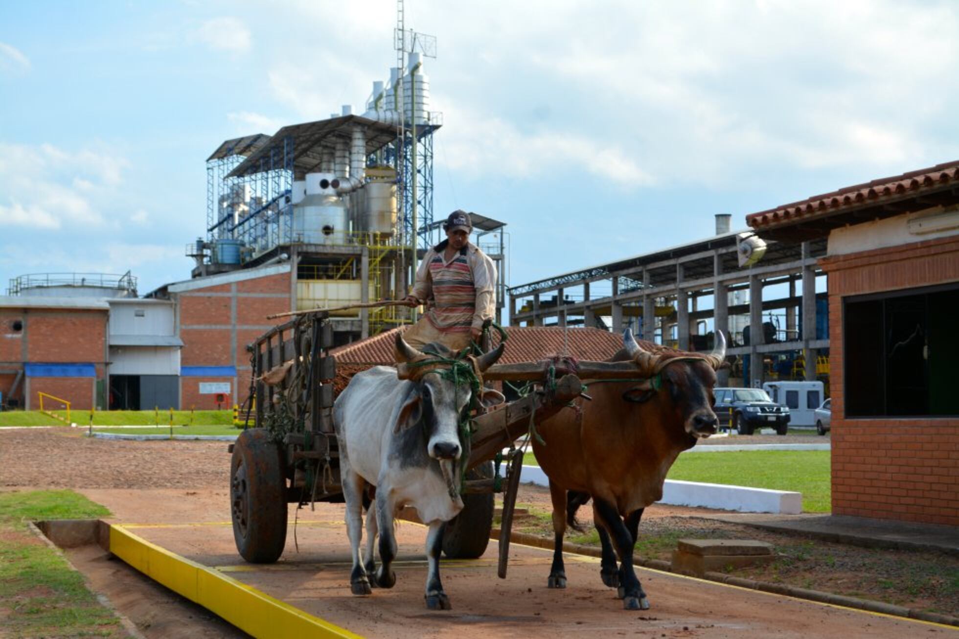 Comercio justo en Paraguay Azúcar que hace justicia: Azúcar que hace ...