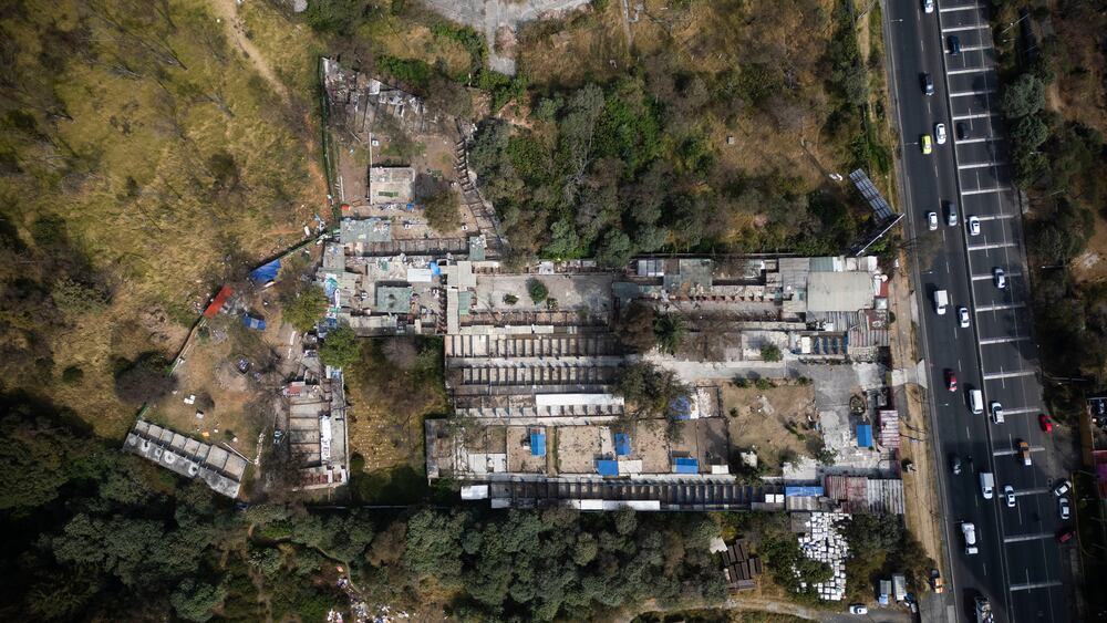 La prueba de vida de 304 perros que pedía el Refugio Franciscano ...