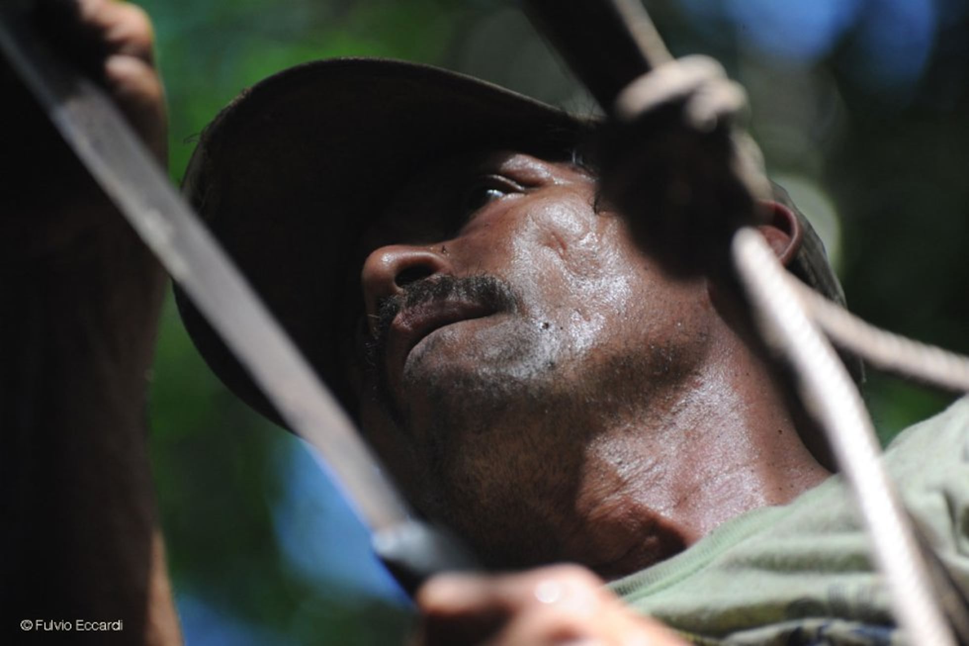 Chicleros, guardianes de la selva maya | Fotos | Planeta Futuro | EL PAÍS