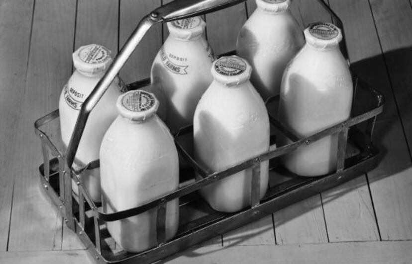 vaca: Qué dice el 'brick' de la leche | Bienestar | BuenaVida | EL PAÍS