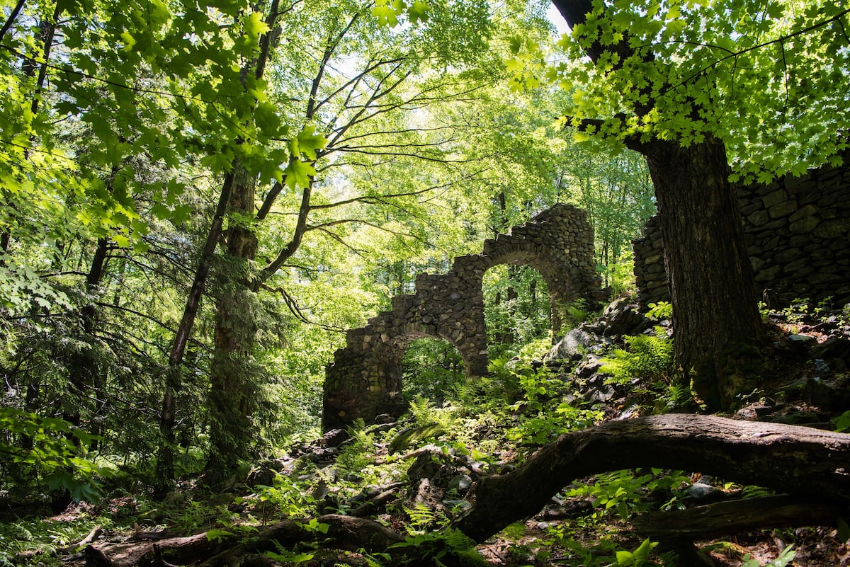 Sheila Heti: ‘Color puro’, hacia un nuevo misticismo | Babelia | EL PAÍS