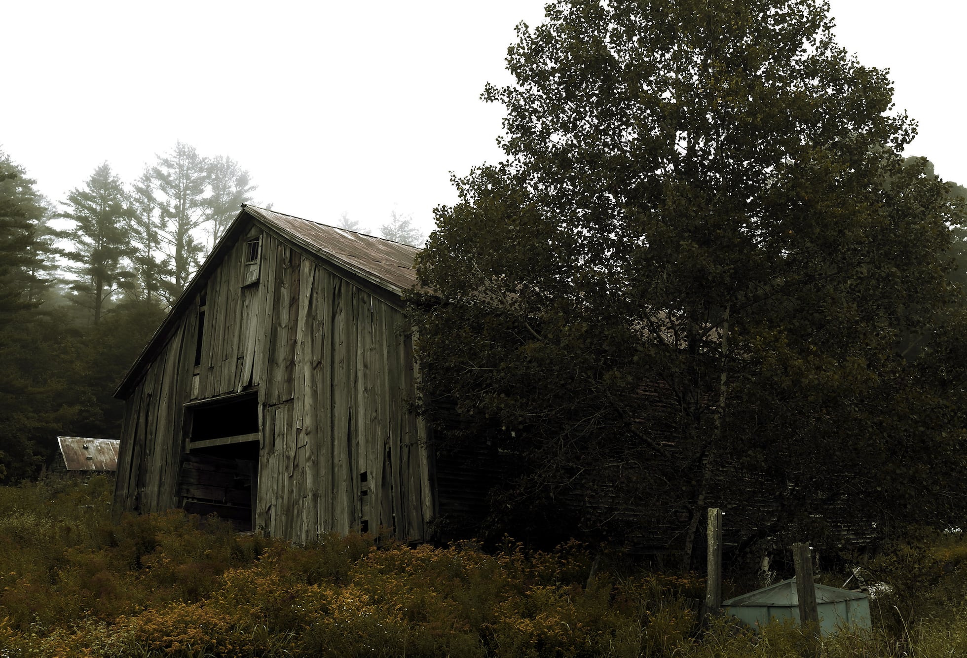The splendor and twilight of the American barn | Culture | EL PAÍS English