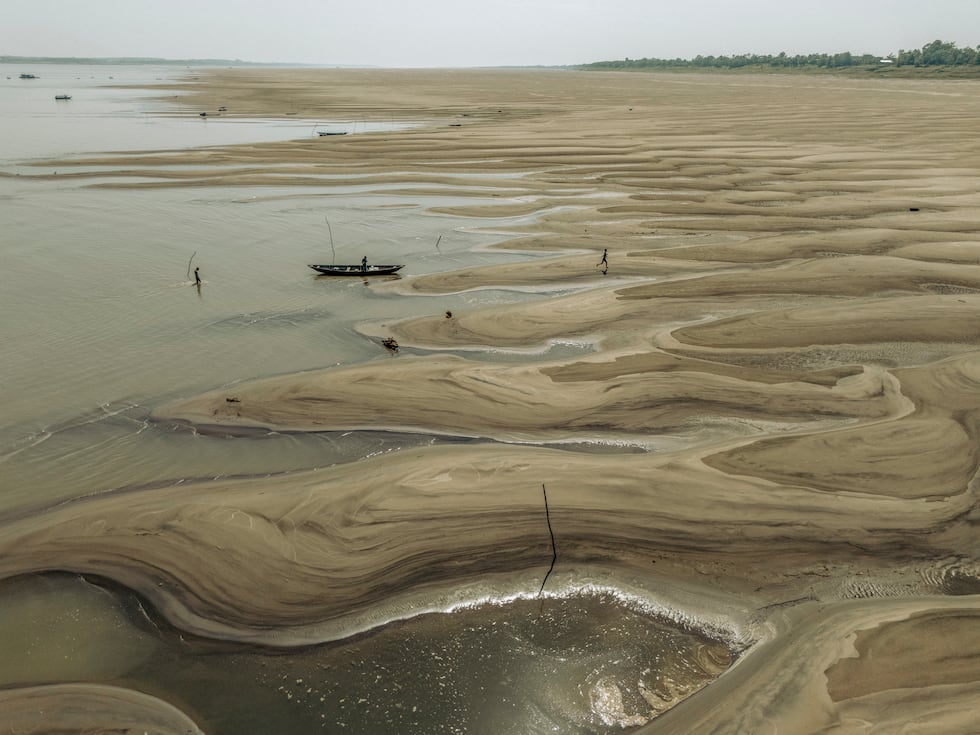 La sequía en la región del Amazonas, la peor jamás registrada en esa ...