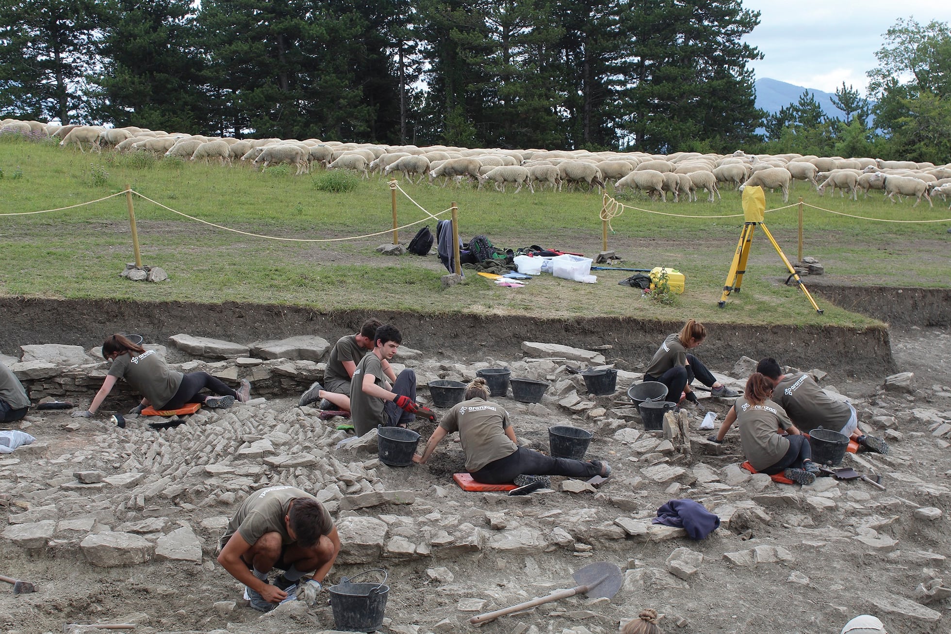 Irulegui Hand: Researchers claim to have found earliest document ...