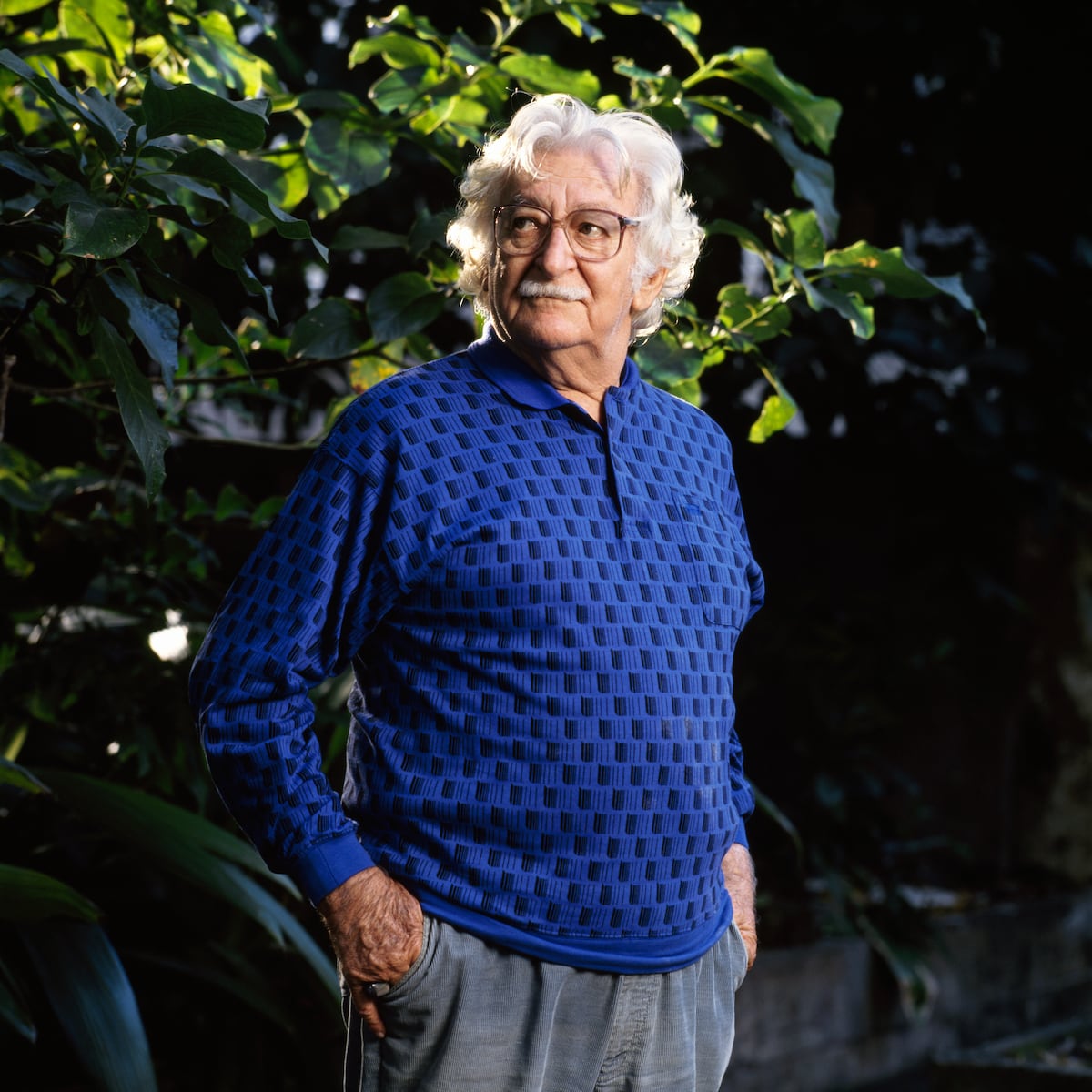 Burle Marx: el paisajista brasileño que abrazó la flora local para ...