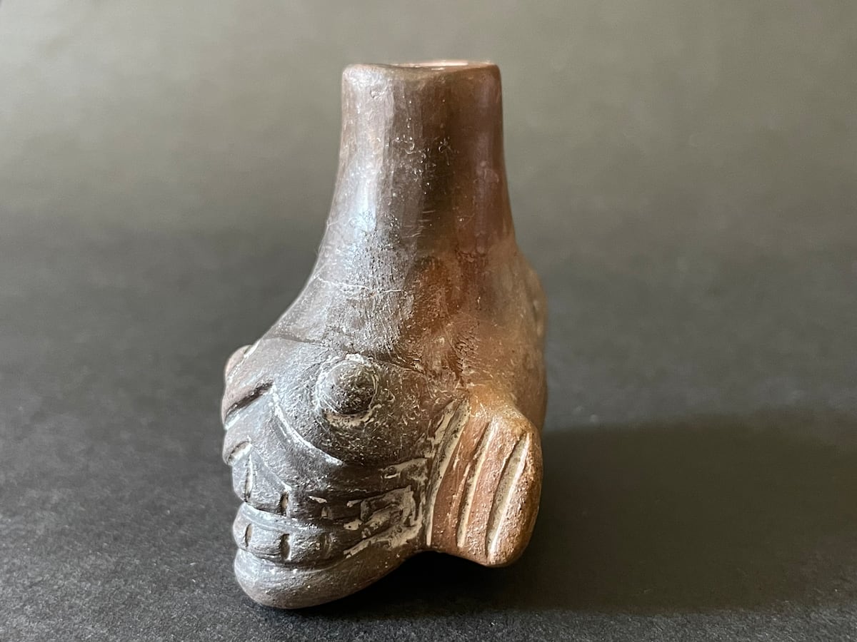 Terrified before dying? The ‘Aztec death whistle’ awakens aversion and ...