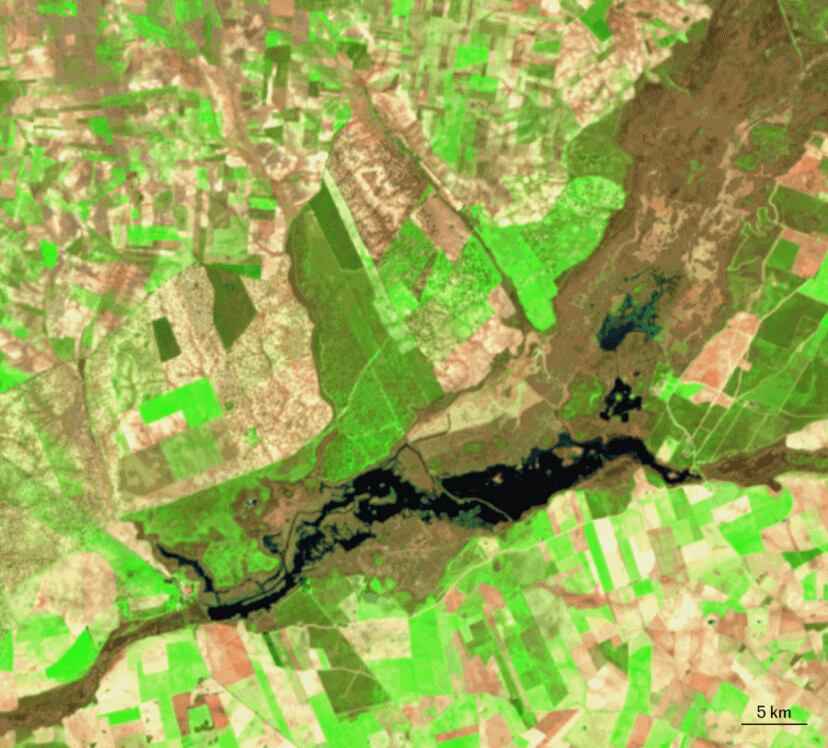 Doñana: El subidón de los humedales: así se ve desde el espacio el ...