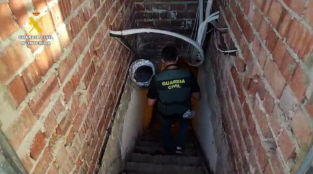 El narco que dormía con una recortada para proteger su búnker de ...
