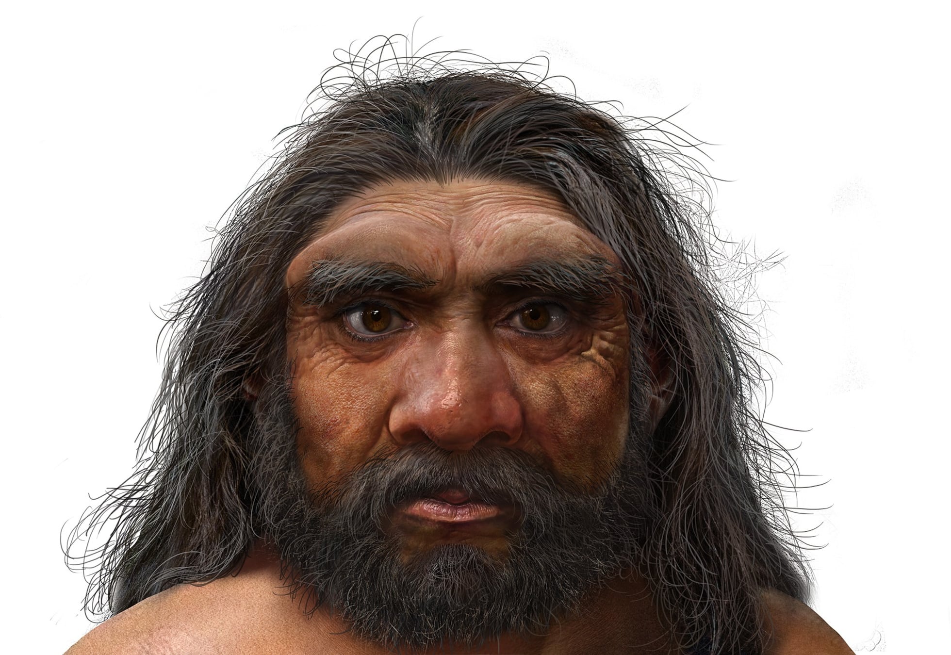 DNA: Enigmatic ‘dragon man’ was not a new human species, but a ...
