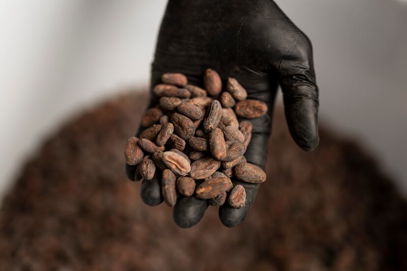 Dues xocolateries de Barcelona on descobrir l’autèntic sabor del cacau ...