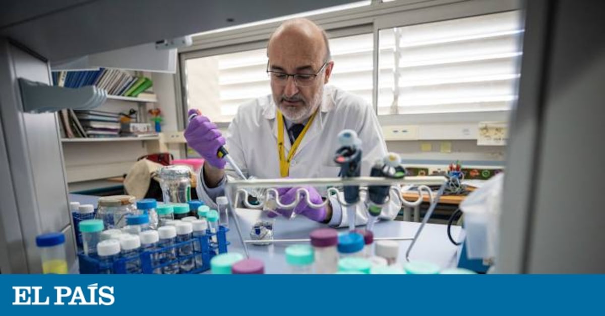 Cuando el enfermo paga la investigación de su dolencia | Ciencia | EL PAÍS