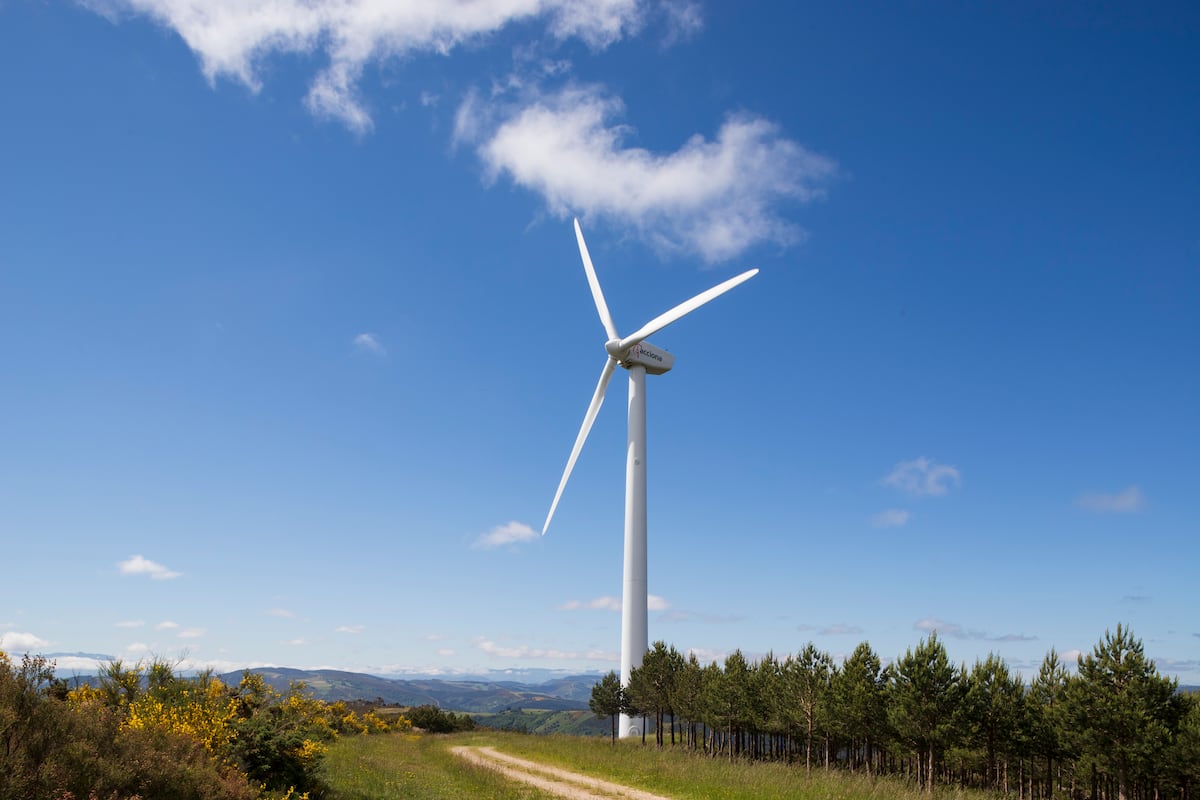 Hadleyfox onlyfans i hoped for a bit more enhanced service