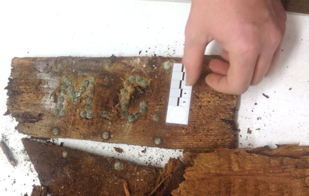 Cervantes’ coffin found in Madrid crypt | Spain | EL PAÍS English