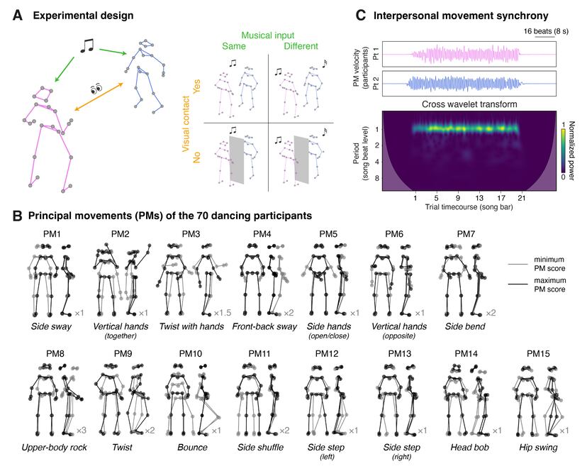 The science of dance: At the nightclub, we synchronize like a flock of ...