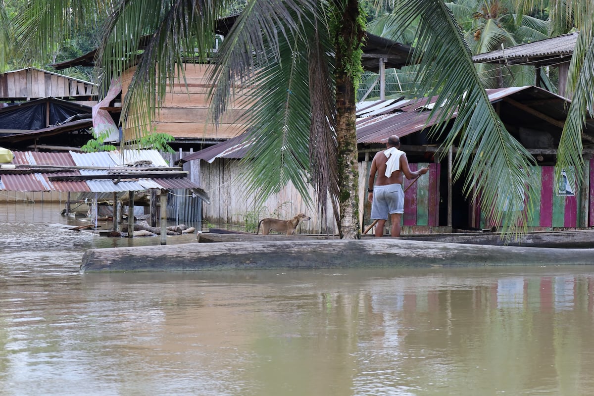 Video | Las inundaciones que dejan más de 9.000 familias afectadas en ...