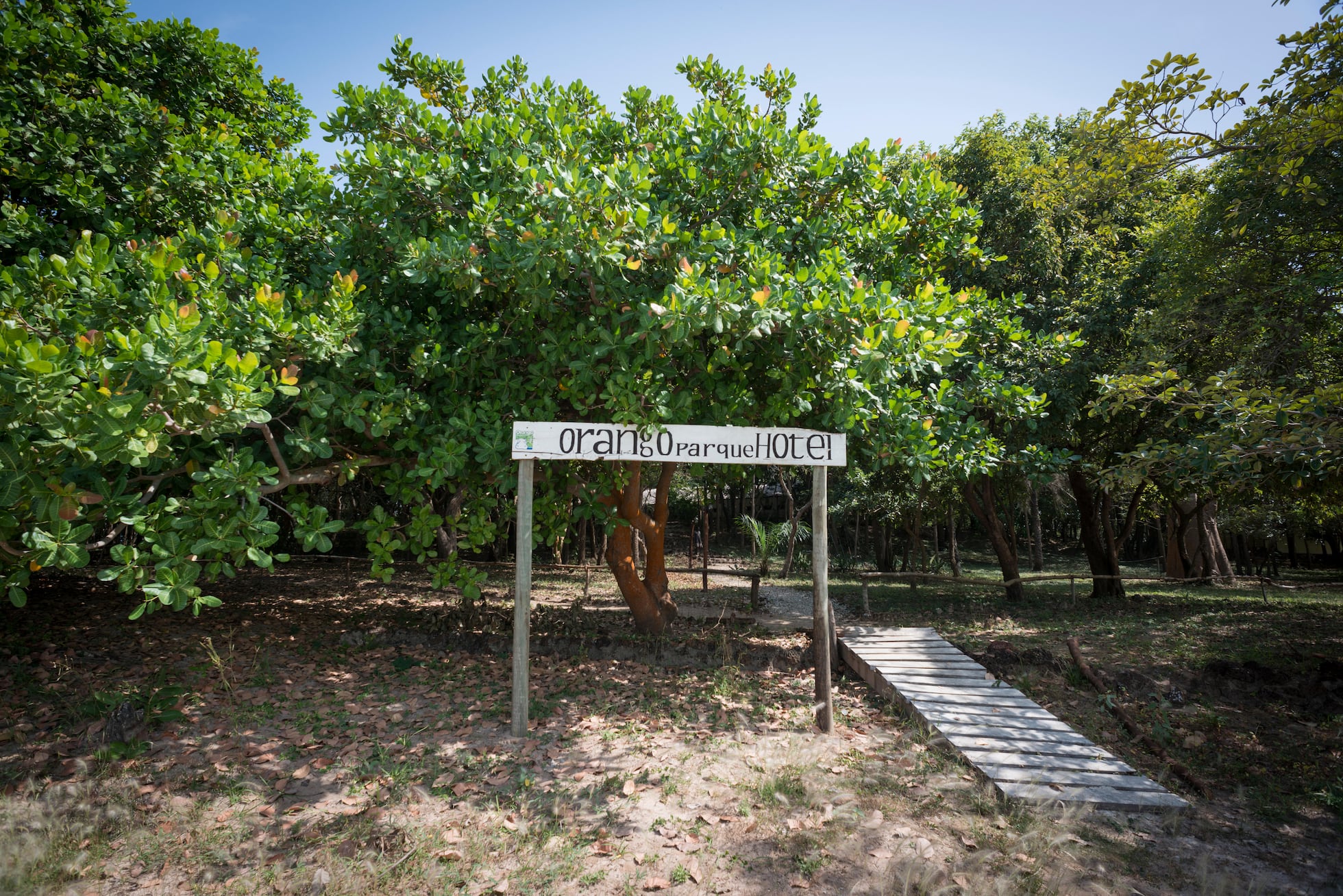 Parque nacional de Orango: manglares, playas vírgenes y poblados en el ...