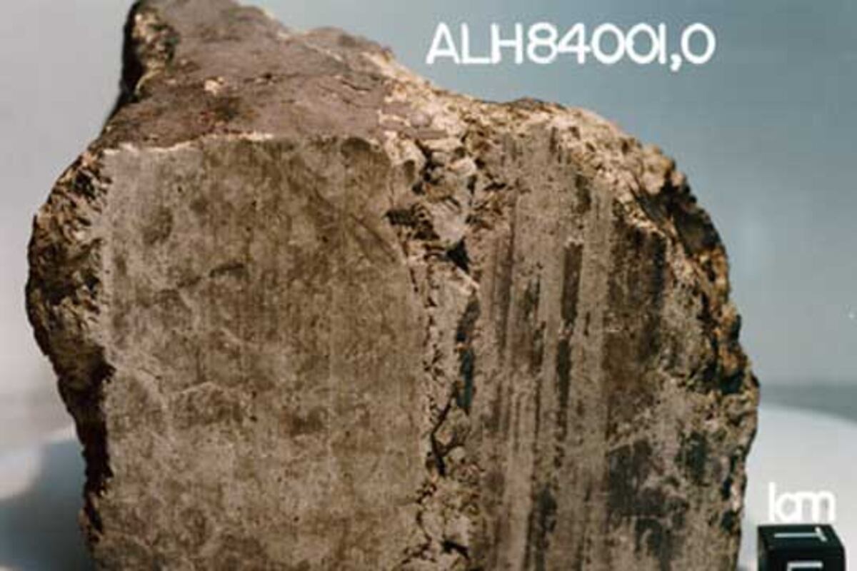 El meteorito de origen marciano ALH-84001 | Futuro | EL PAÍS
