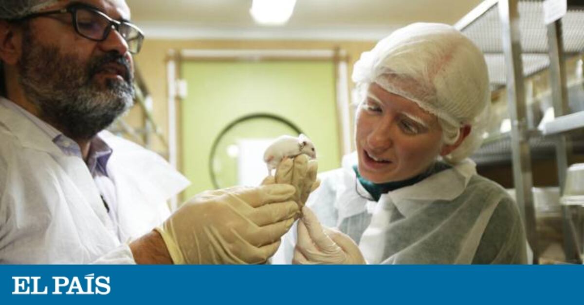El ratón mutante de Patty Bonet | Ciencia | EL PAÍS