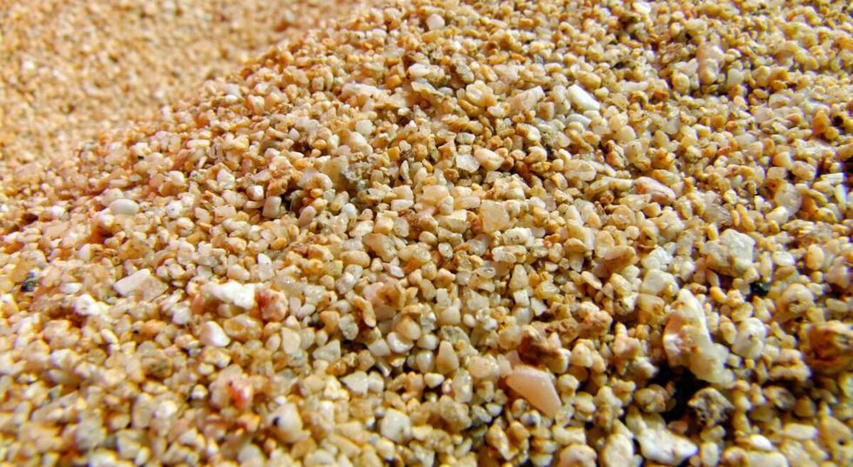 Las paradojas de Eubúlides | Ciencia | EL PAÍS