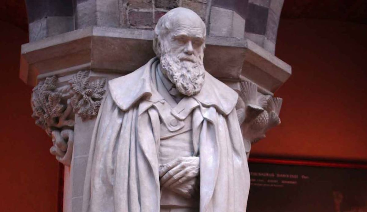 Así puedes ver la biblioteca completa que tenía Charles Darwin sin ...