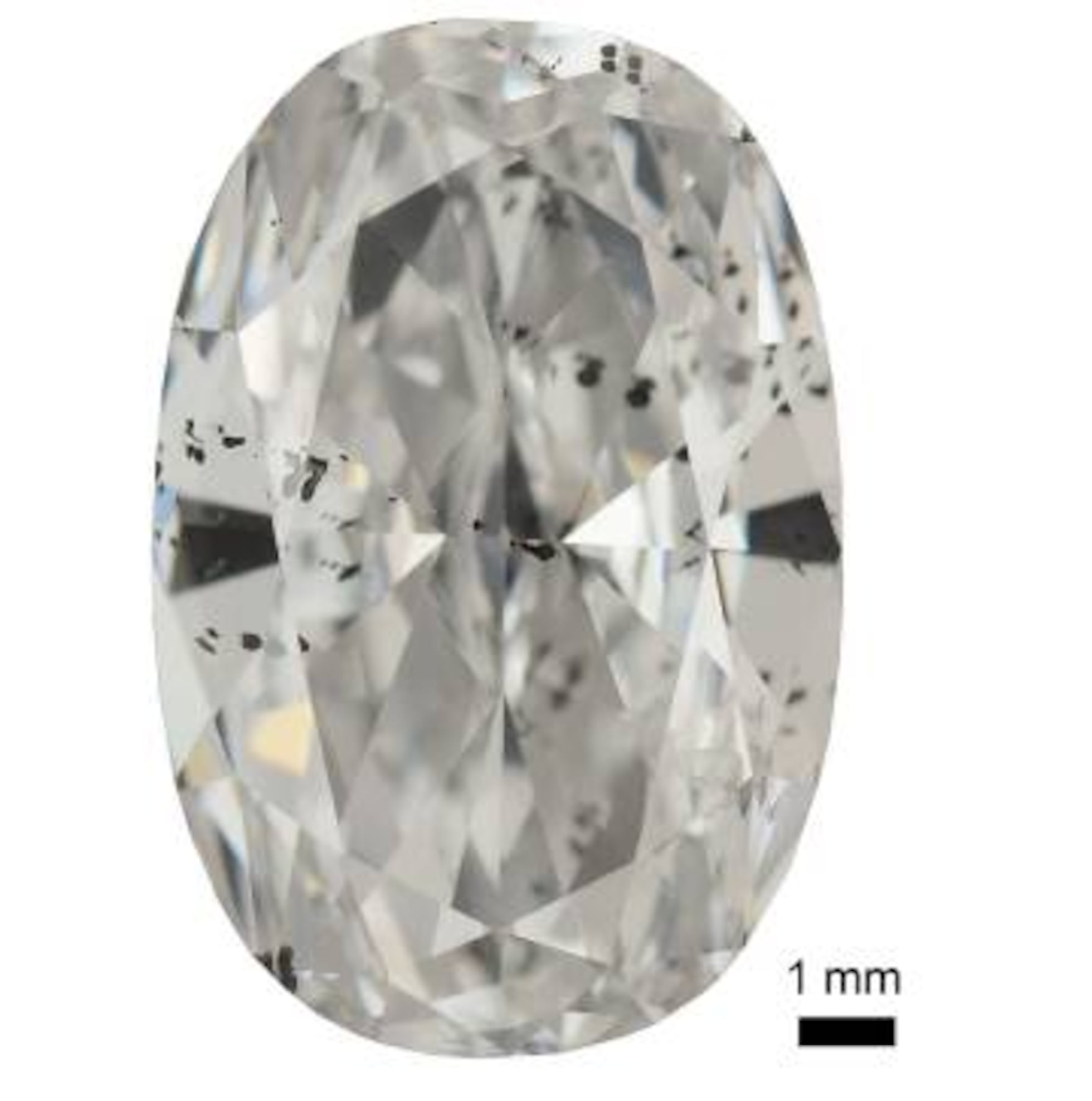 El origen de ‘la pantera rosa’ | Ciencia | EL PAÍS