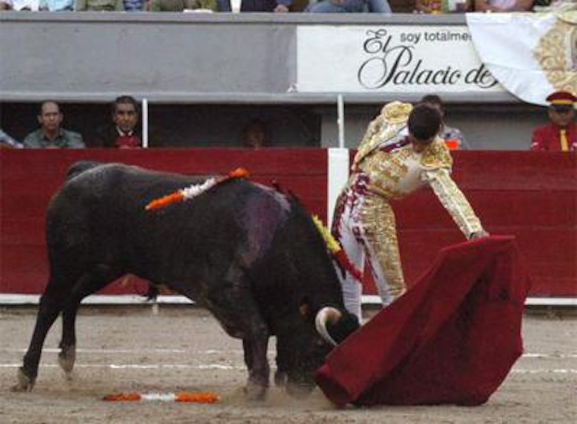 Un torero español de 14 años, en estado muy grave tras una cogida en ...