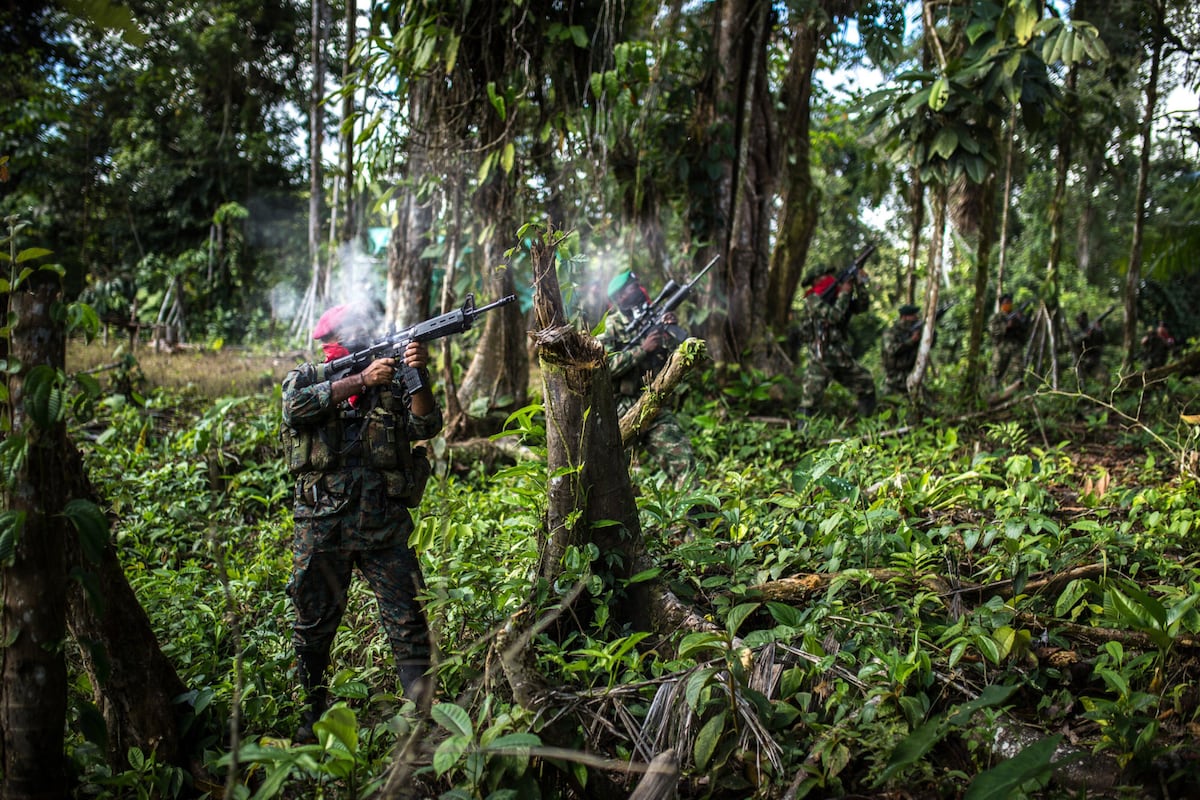 The battle against forced recruitment in Colombia | International | EL ...