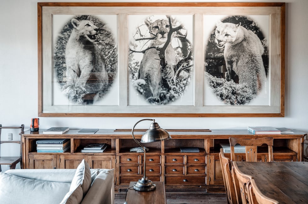 Los Tompkins: de fabricar ropa deportiva a preservar la Patagonia ...