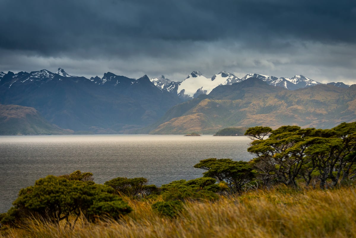 Cabo Froward: 121.000 hectáreas de conservación en el parque nacional ...